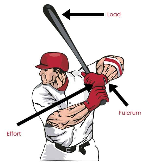 Levers :: Introductory Kinesiology PSK 4U