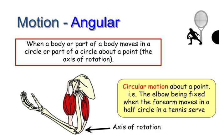 Angular Motion :: Introductory Kinesiology PSK 4U